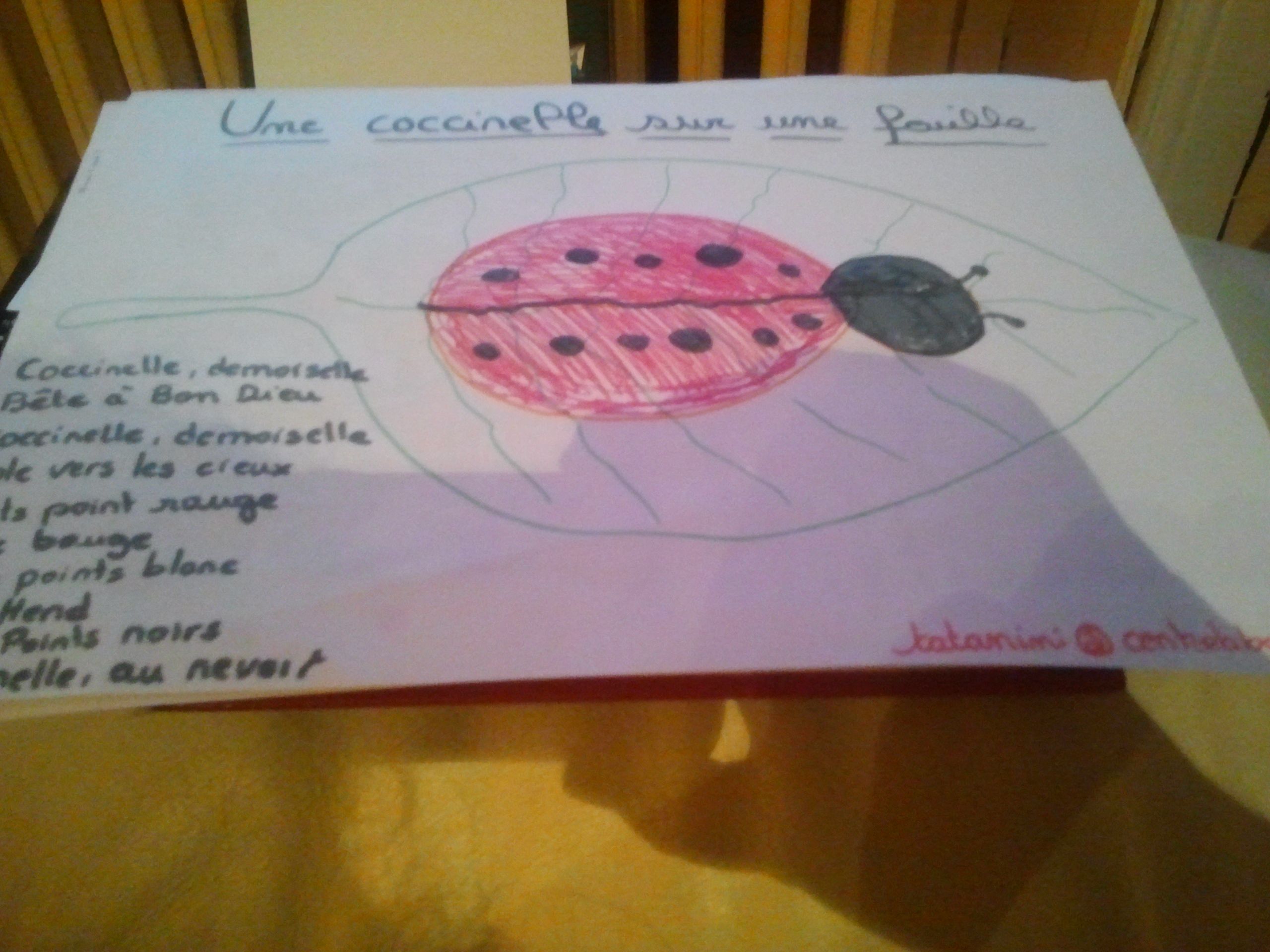 le printemps - Page 3