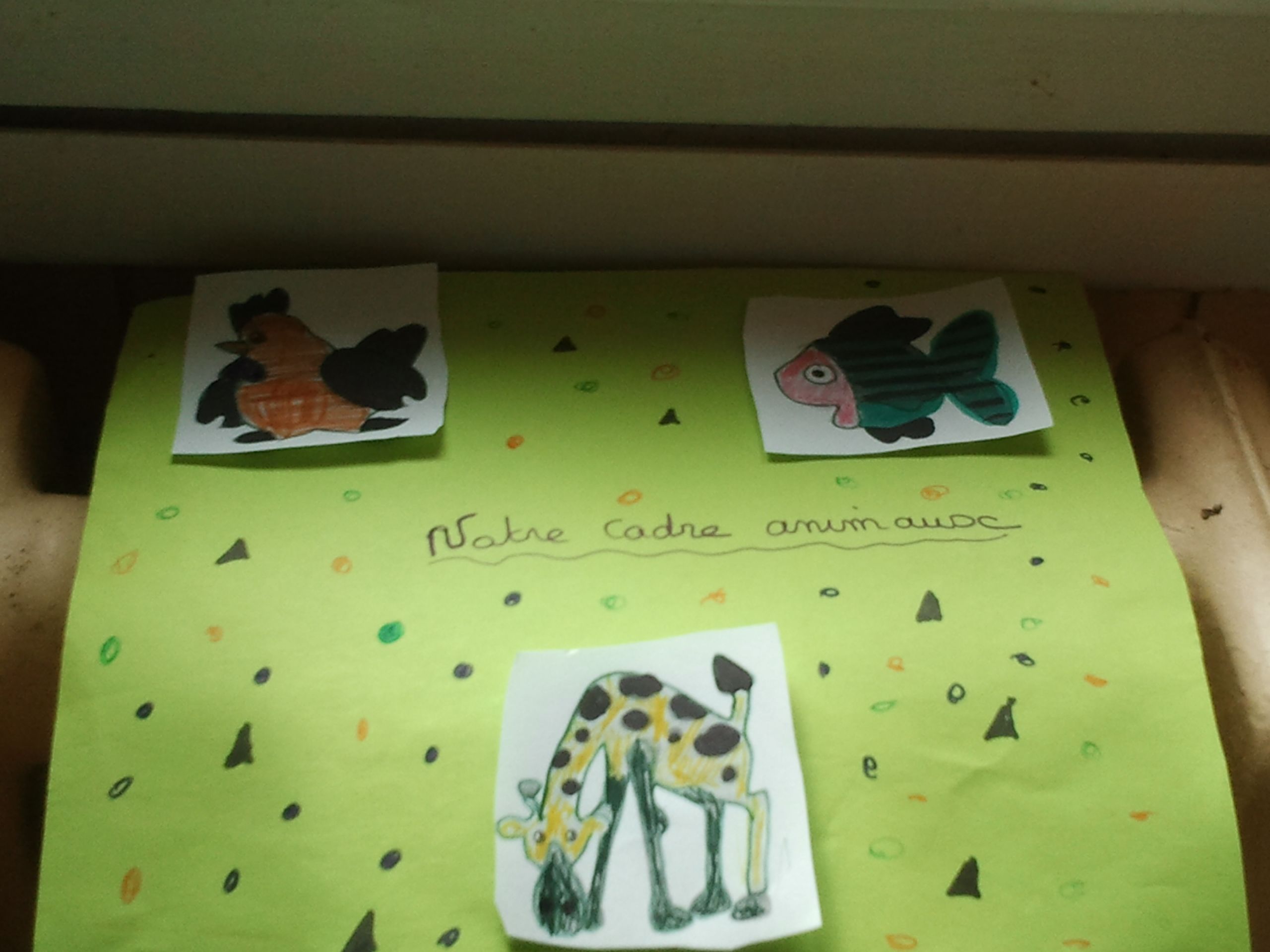 activite sur les animaux